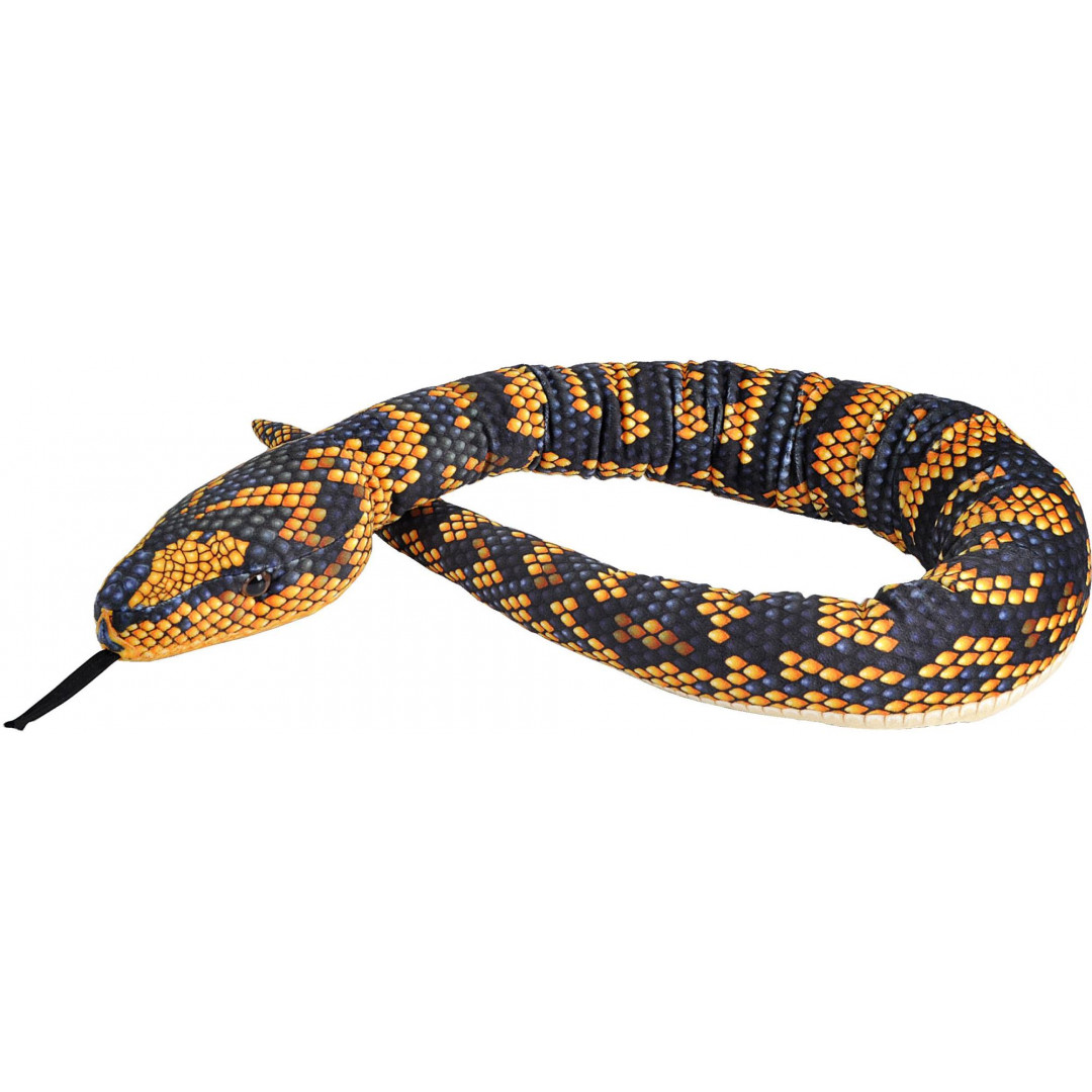 Snake Jungle Carpet Python - Afterpay Available!
