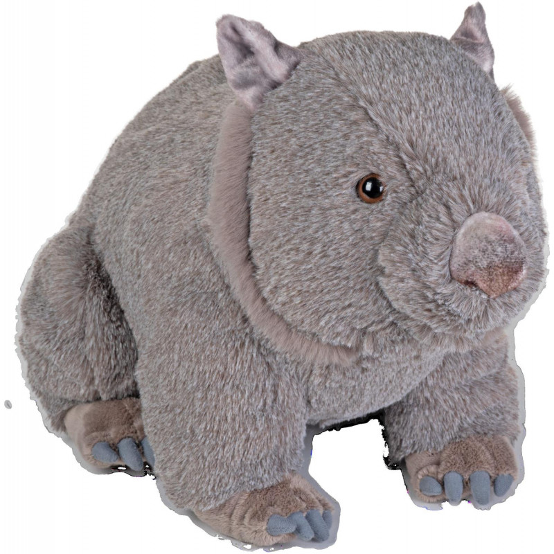 Artist Mini Wombat - Afterpay Available!