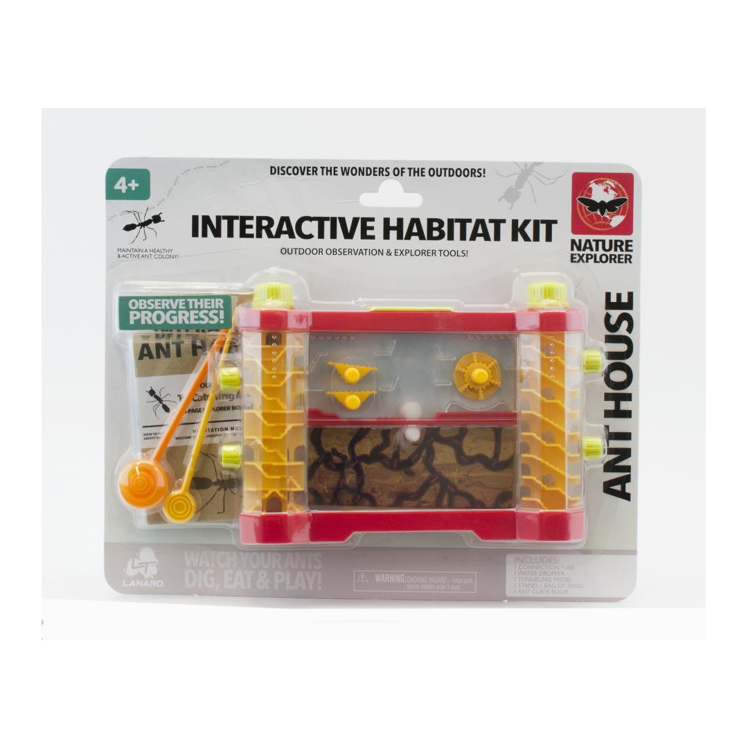 Bug Out Ant Farm - Afterpay Available!