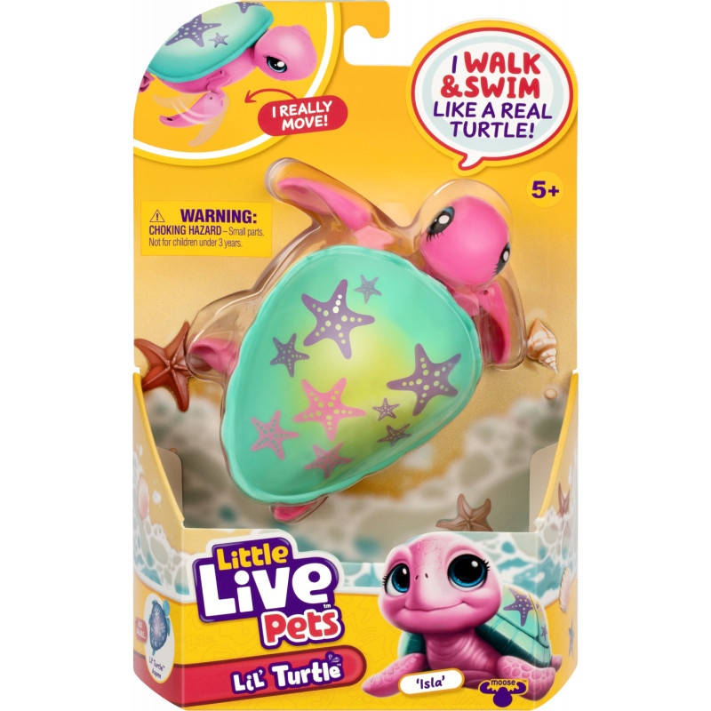 Little Live Pets S11 Lil' Turtle Single Pk Assorted