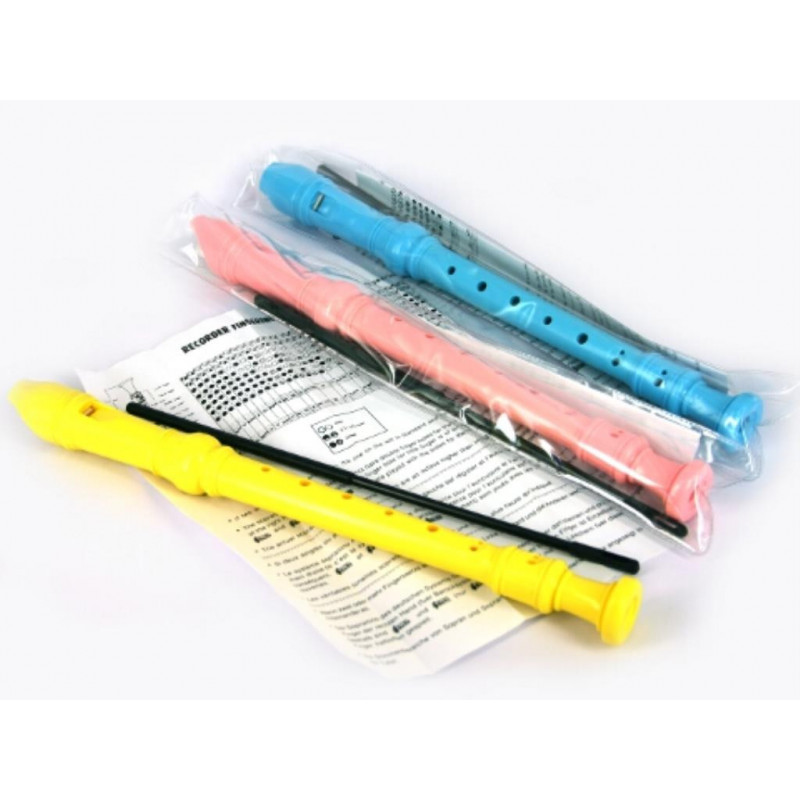 Recorder- Assorted - Afterpay Available!