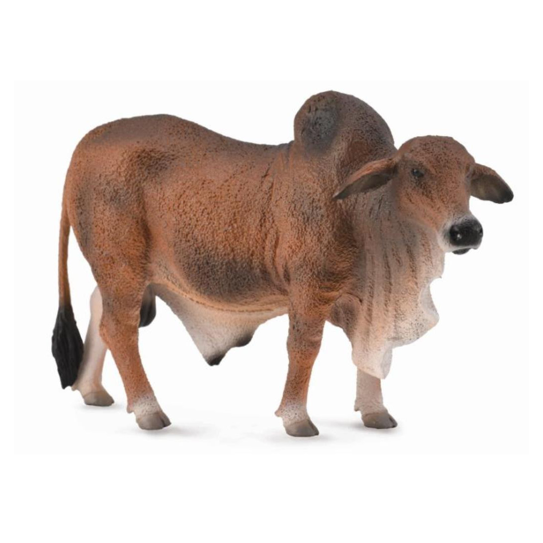 Collecta - Brahman Bull Red - Afterpay Available!
