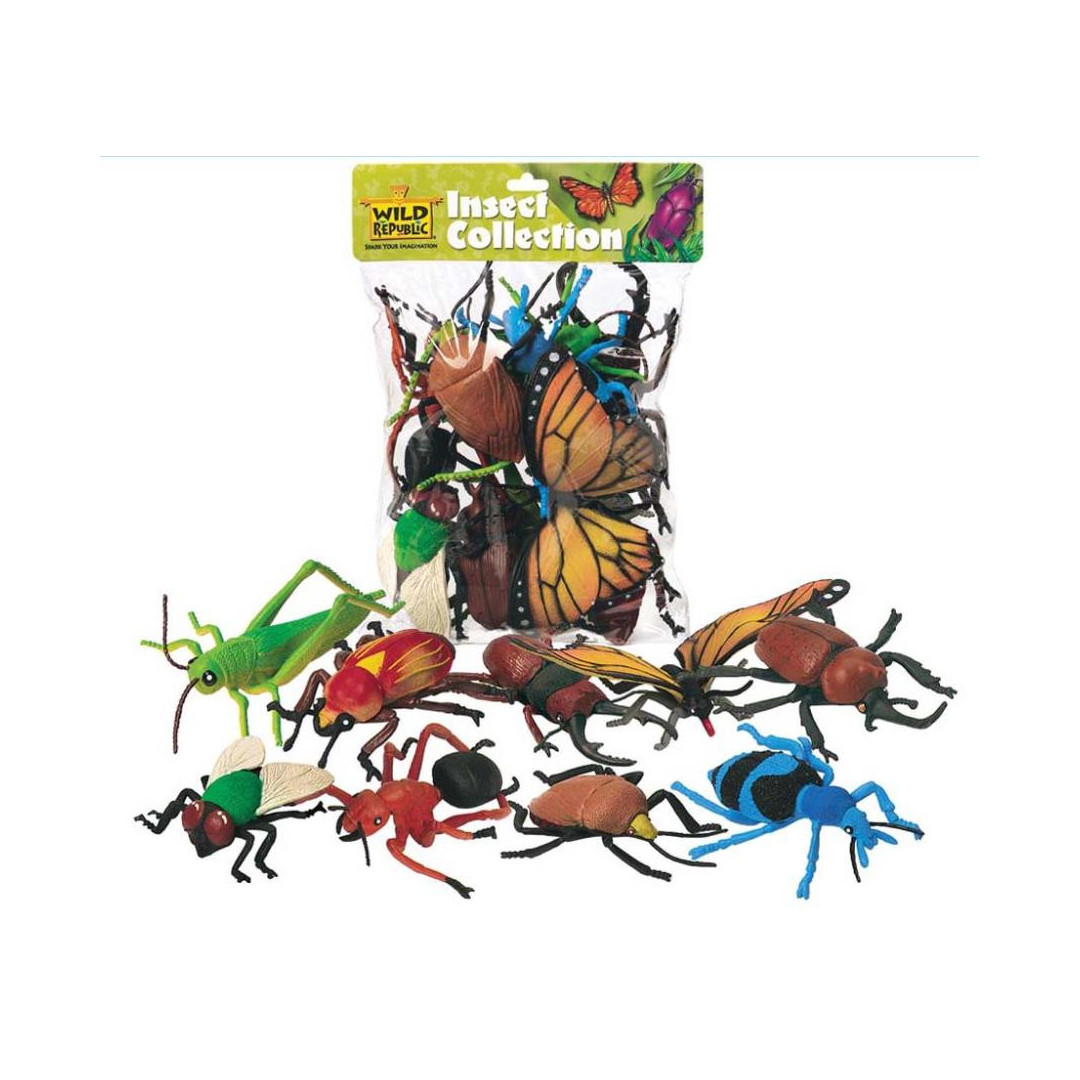 Insect Collection - Afterpay Available!