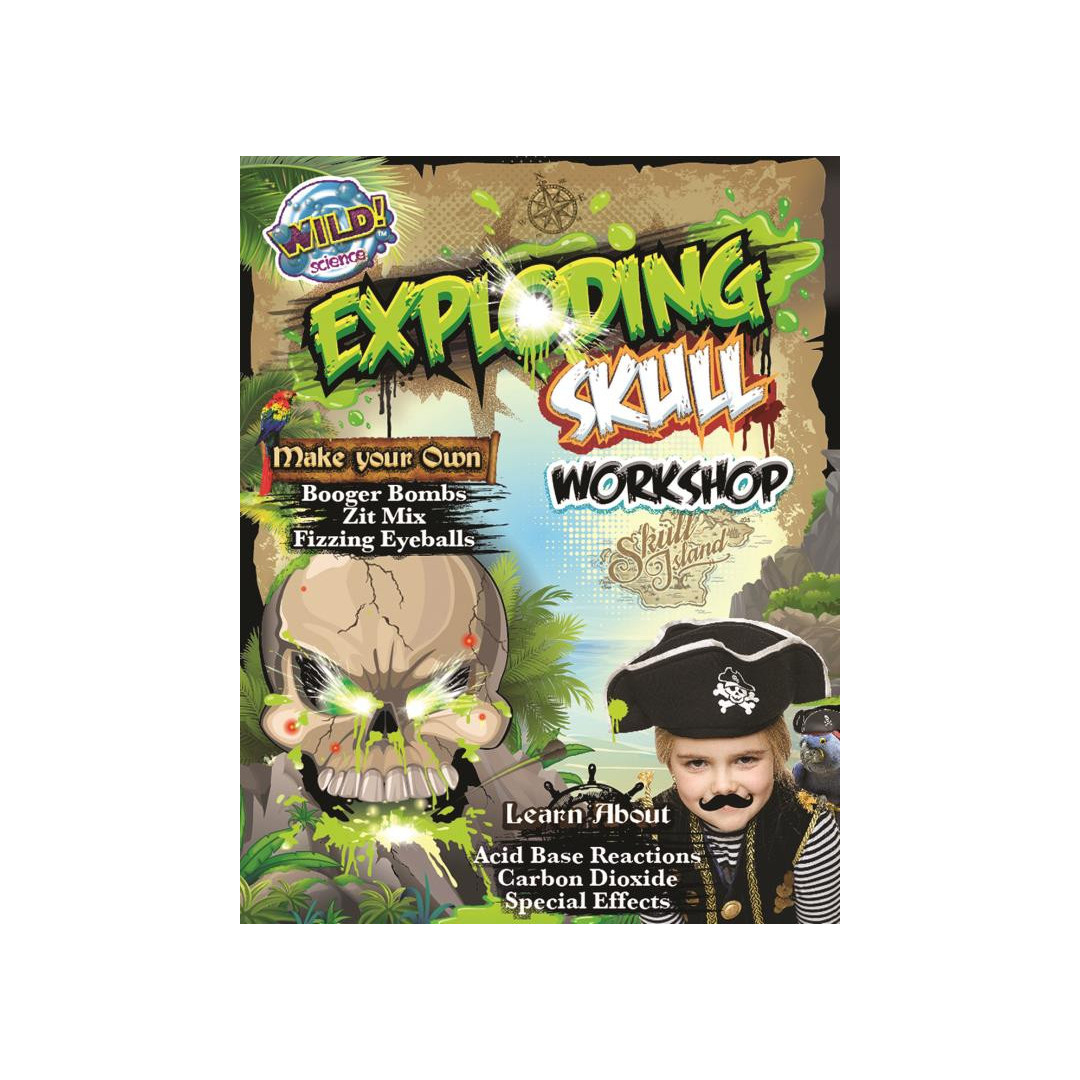 Exploding Skull Workshop | Mr Toys Toyworld