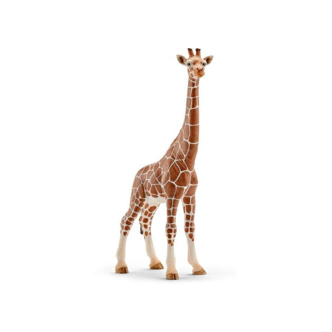 Schleich Wild Life Giraffe Female - Afterpay Available!