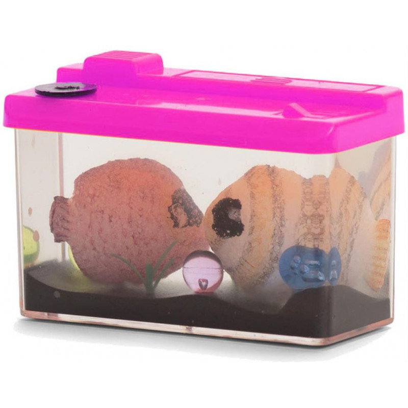 Grow Fish In Tank- Assorted | Mr Toys Toyworld