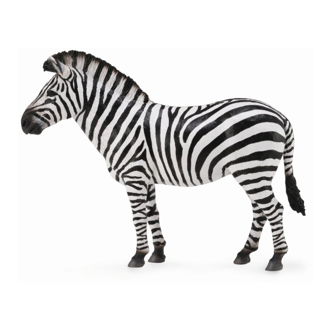 Collecta Common Zebra | Mr Toys Toyworld