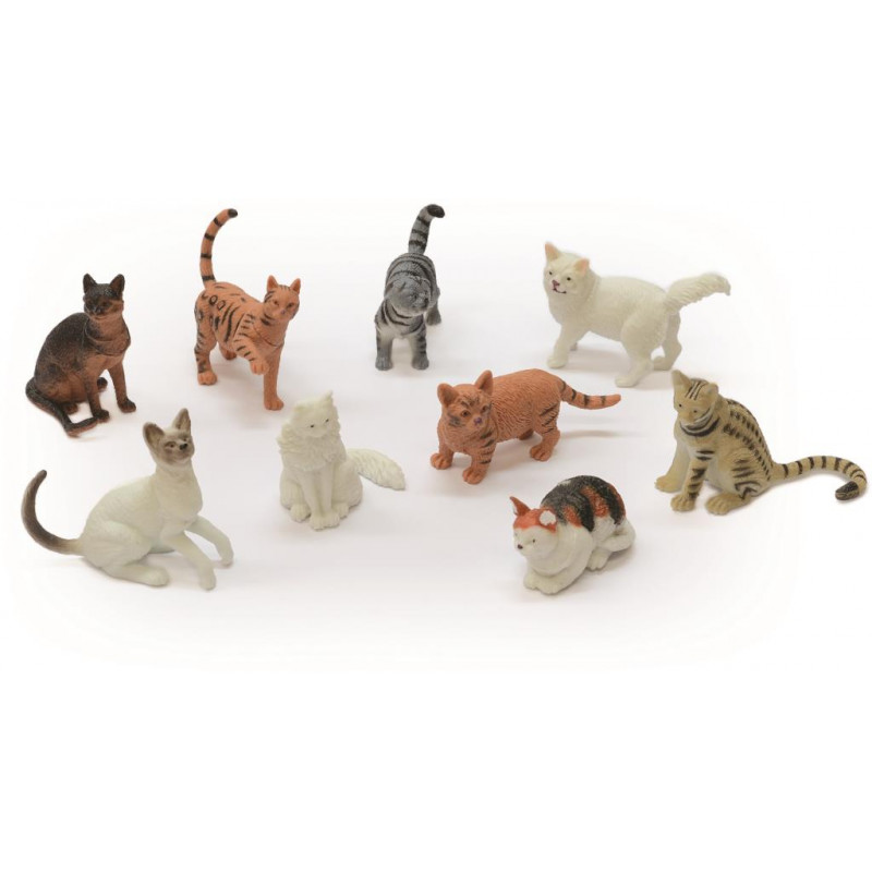 Cat World 9Pc - Assorted - Shop Now!