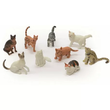Cat World 9Pc - Assorted - Shop Now!