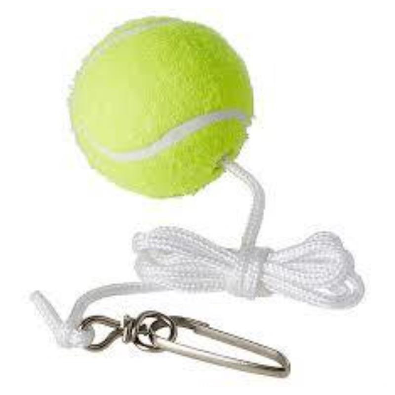 Regent Spare Spin Tennis Ball - Shop Now!