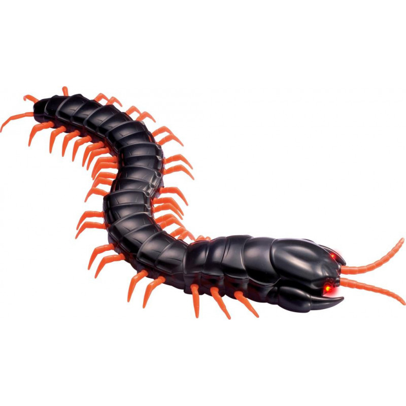 RC Centipede - Afterpay Available!