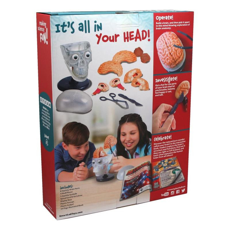 Smart Lab Toys - The Amazing Squishy Brain - Afterpay