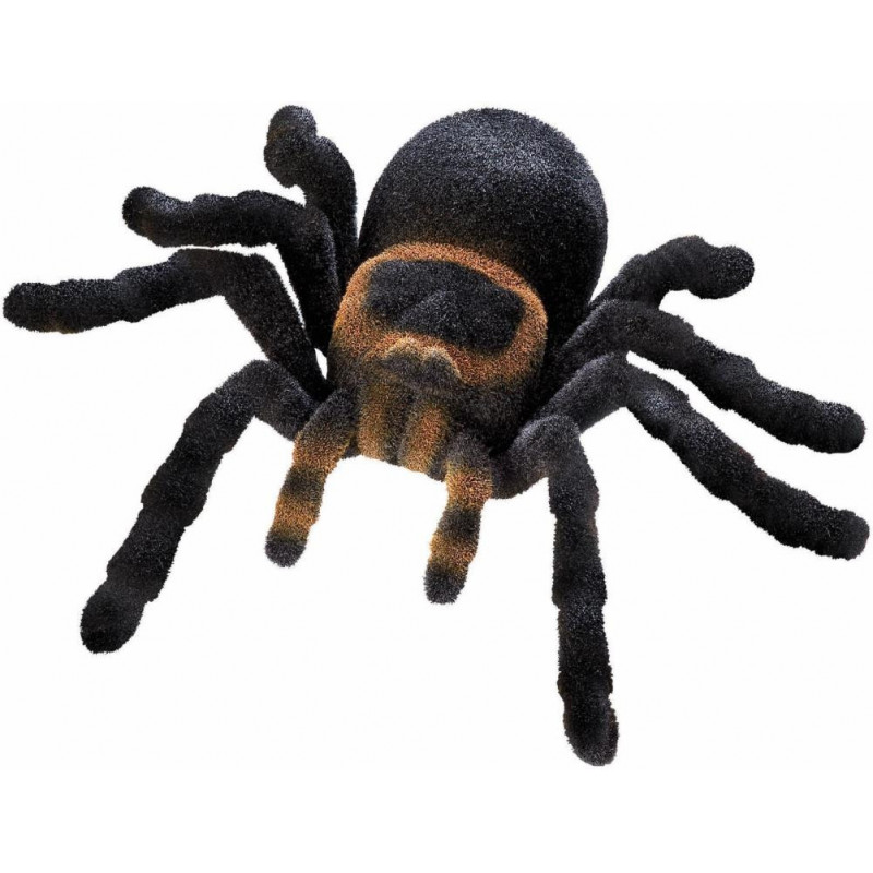 Battery Operated Radio Control Tarantula - Afterpay