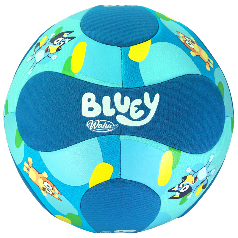 Bluey Soccer Ball - Afterpay Available!