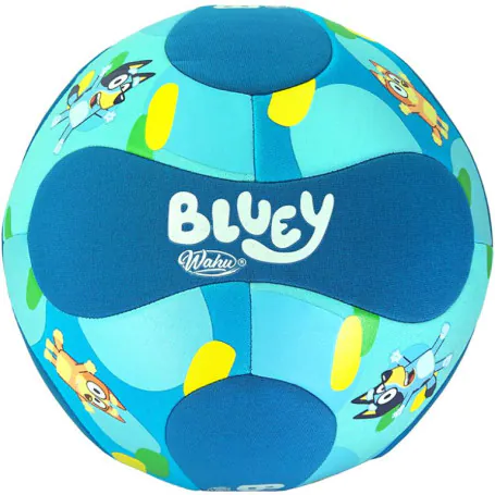 Bluey Soccer Ball - Afterpay Available!