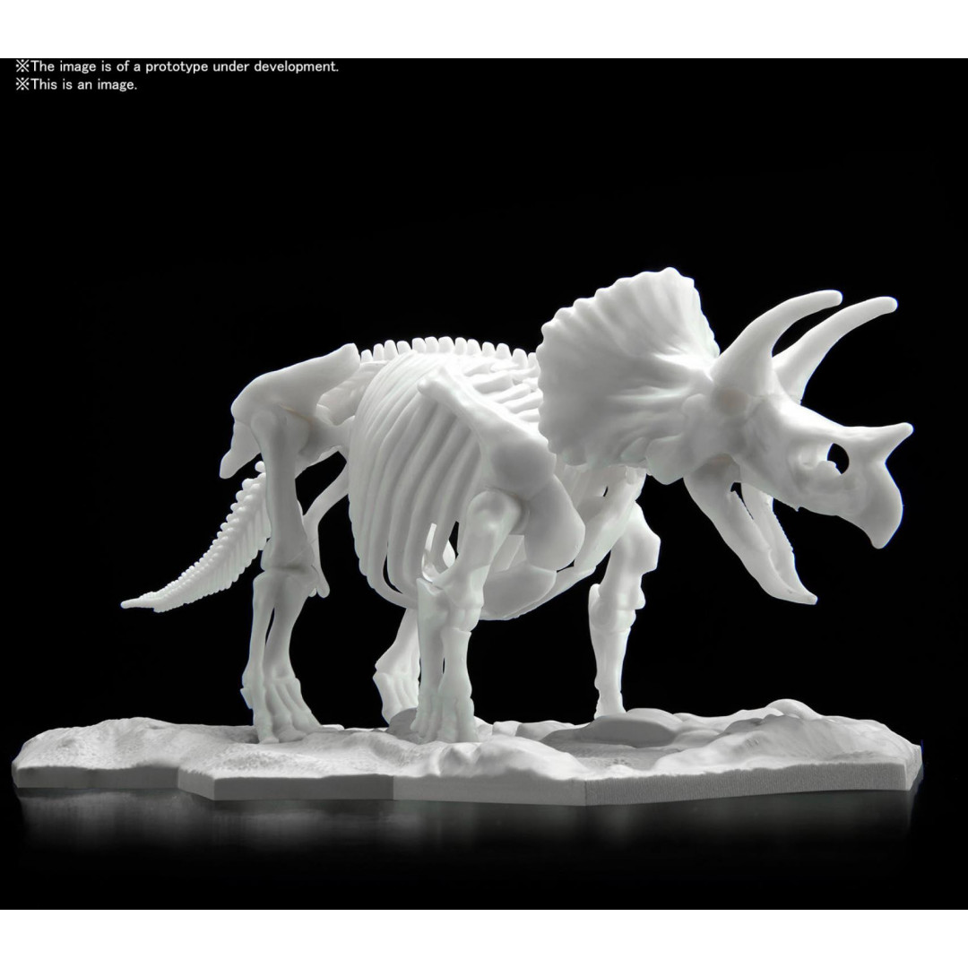 Dinosaur Model Kit Limex Skeleton Triceratops - Afterpay