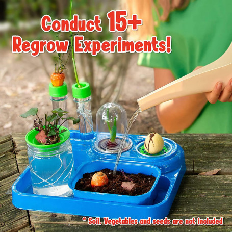 Science To The Max - Regrow Lab | Mr Toys Toyworld