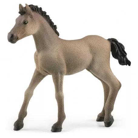 Schleich - Criollo Definitivo Foal - Afterpay Available!