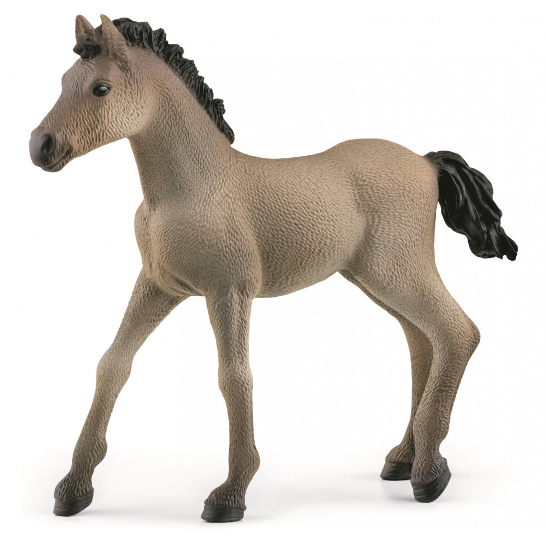Schleich - Criollo Definitivo Foal - Afterpay Available!
