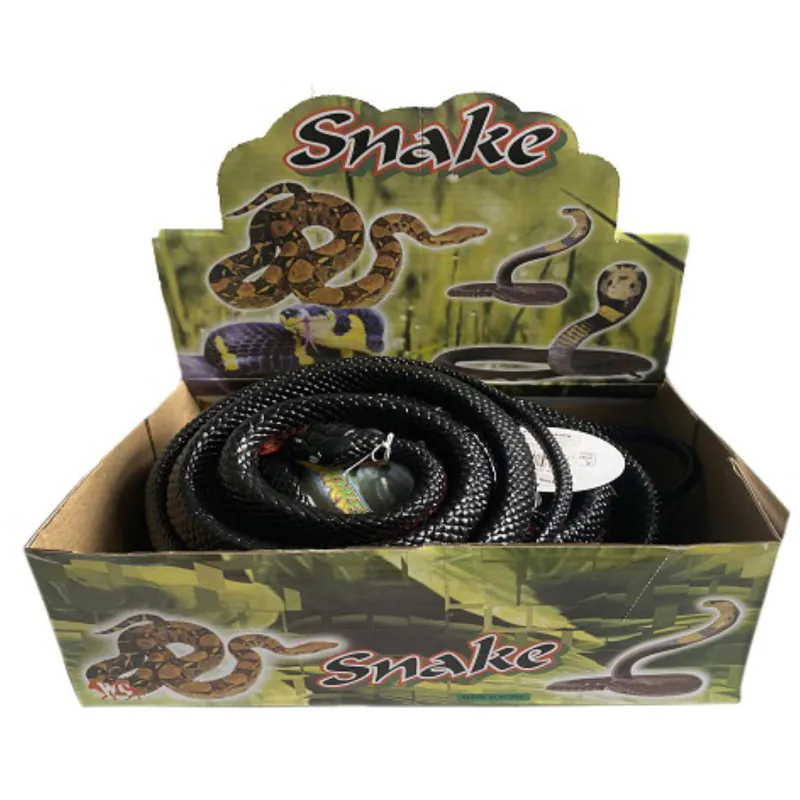 Red-Bellied Black Snake - Afterpay Available!