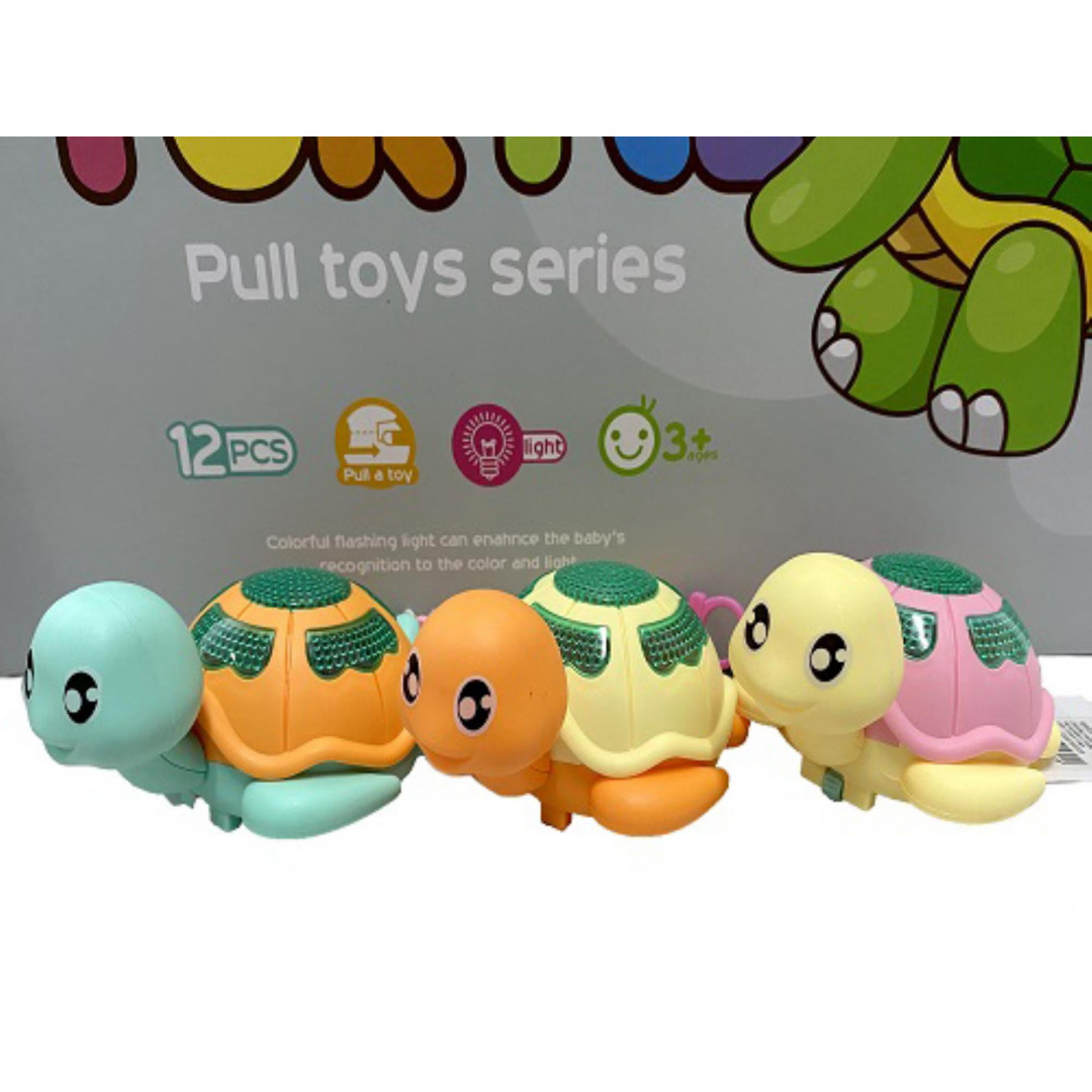 Pull String Turtle | Mr Toys Toyworld