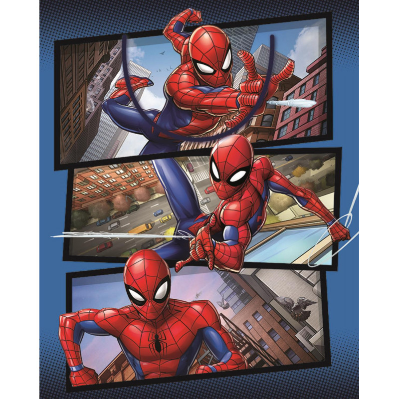 FSC Mix Bag Large Spider-Man Frames - Afterpay Available!