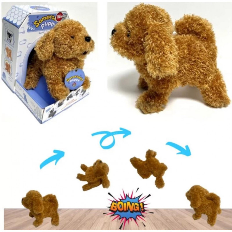 Famous Back Flipping Puppy - Afterpay Available!