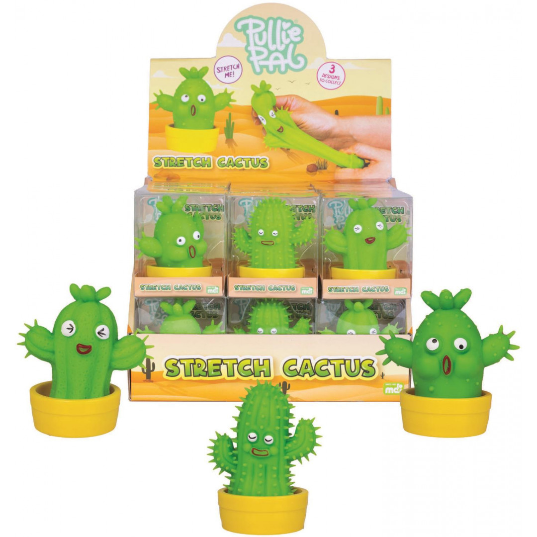 Squishy Cactus - Afterpay Available!
