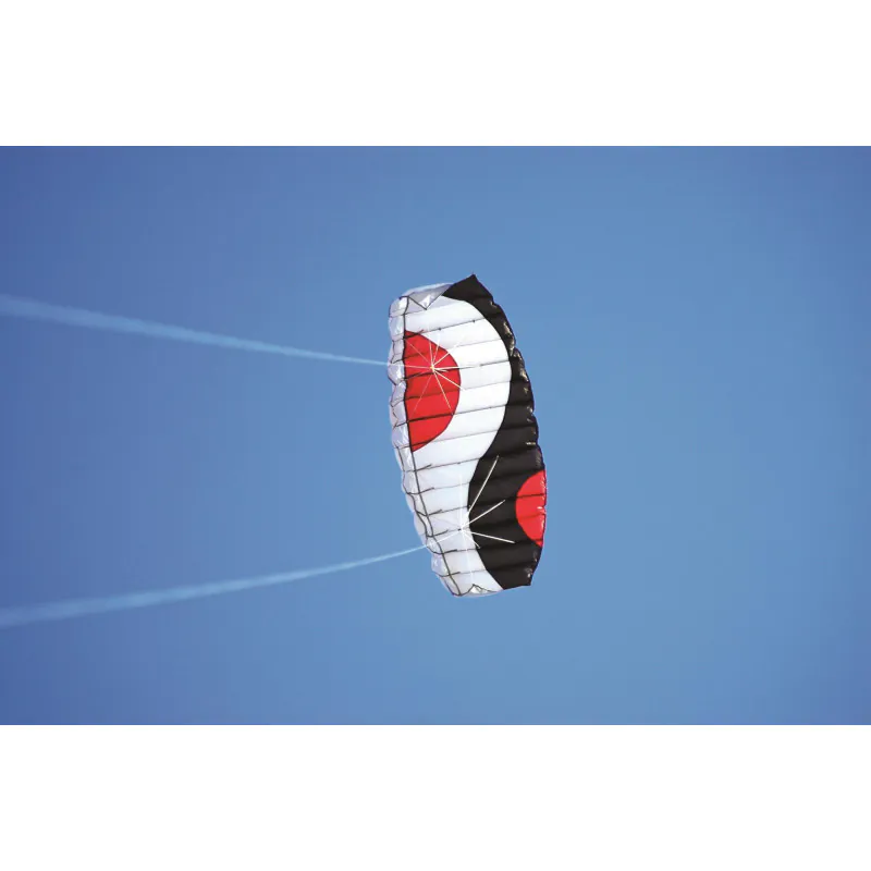 Sky Wizard Sport Kite Dual Handle 54cm X 140cm - Afterpay