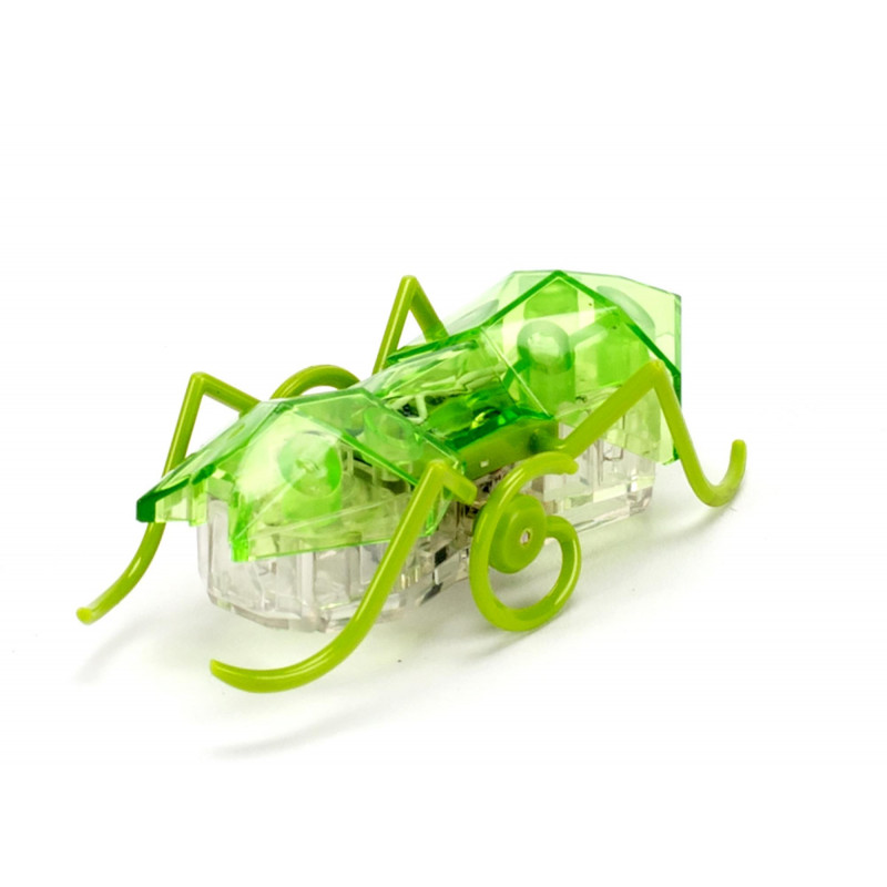 HEXBUG - Micro Ant Assorted - Afterpay Available!