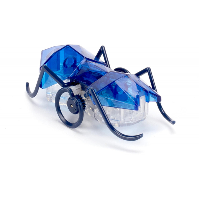 HEXBUG - Micro Ant Assorted - Afterpay Available!