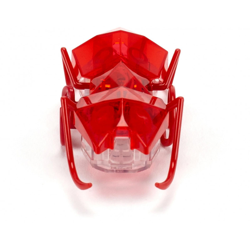 HEXBUG - Micro Ant Assorted - Afterpay Available!