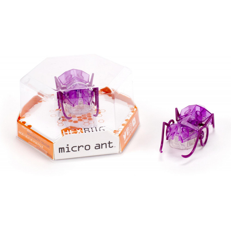 HEXBUG - Micro Ant Assorted - Afterpay Available!