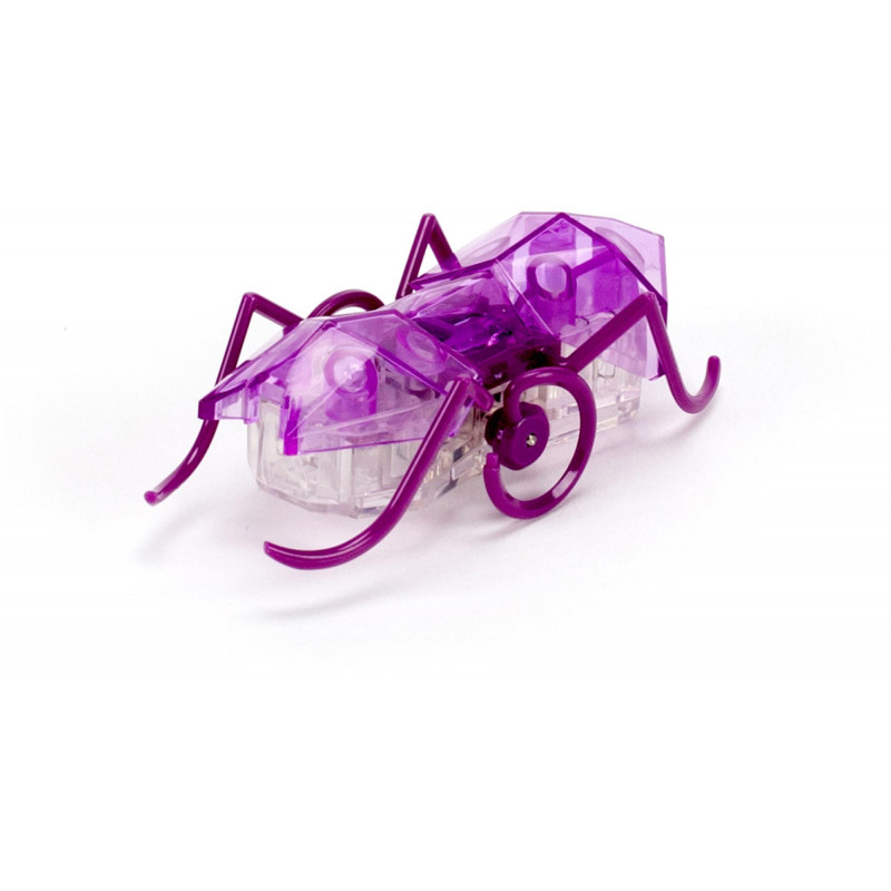 HEXBUG - Micro Ant Assorted - Afterpay Available!