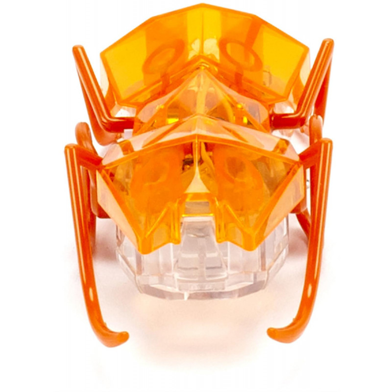 HEXBUG - Micro Ant Assorted - Afterpay Available!