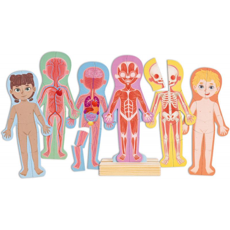 Human Body Magnetic Puzzle - Afterpay Available!