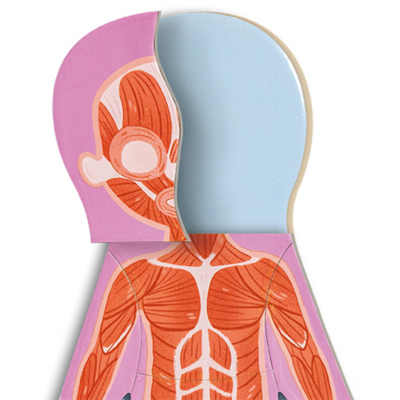 Human Body Magnetic Puzzle - Afterpay Available!