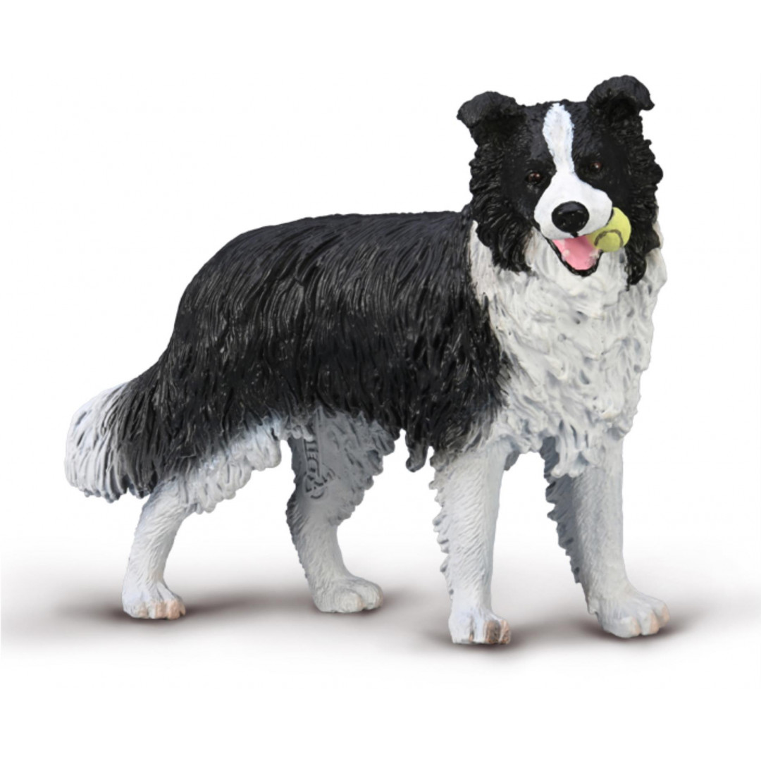 Collecta Border Collie (L) - Afterpay Available!