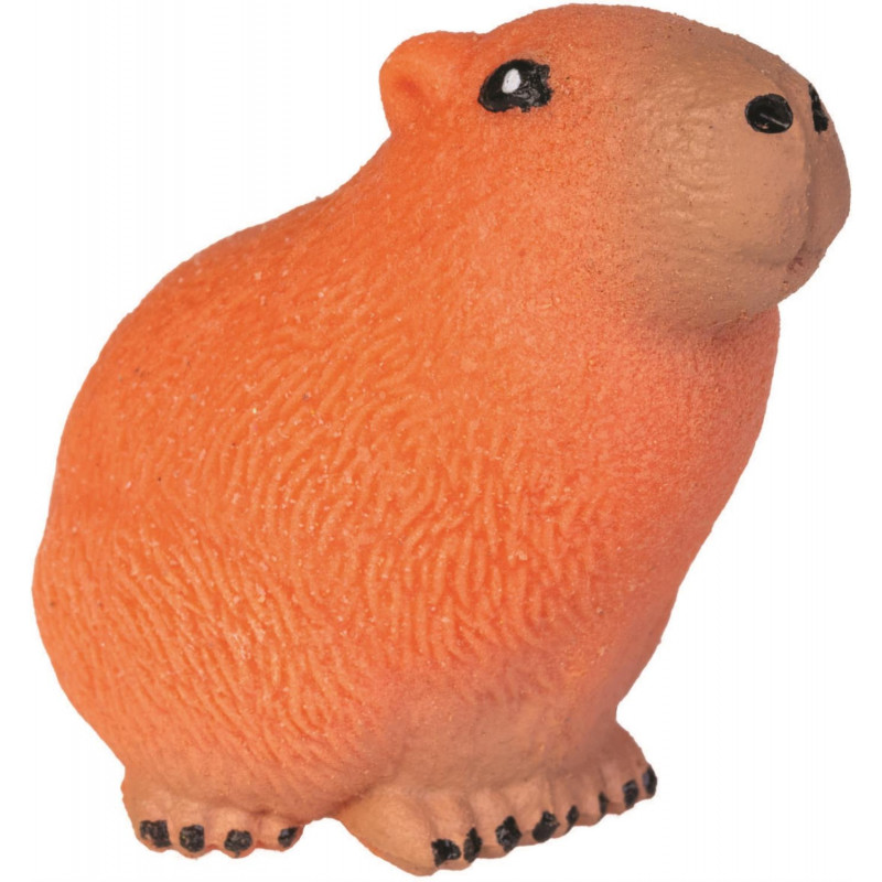 Grow A Capybara - Afterpay Available!